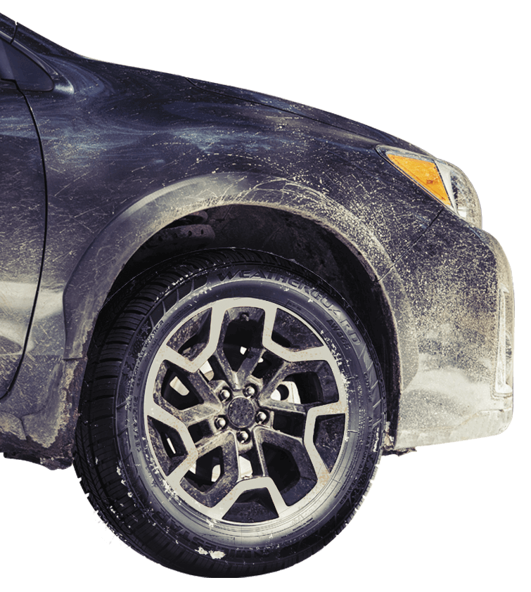 WEATHERGUARD AW365 - Milestar Tires